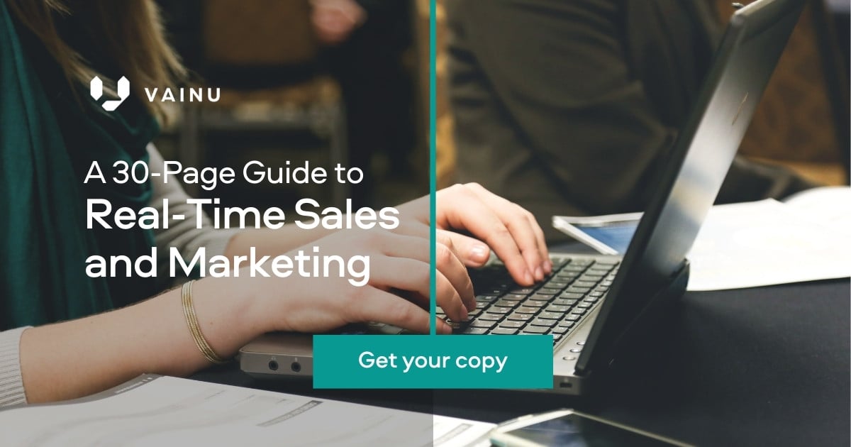 Develop a Real-Time Sales & Marketing Strategy | Vainu